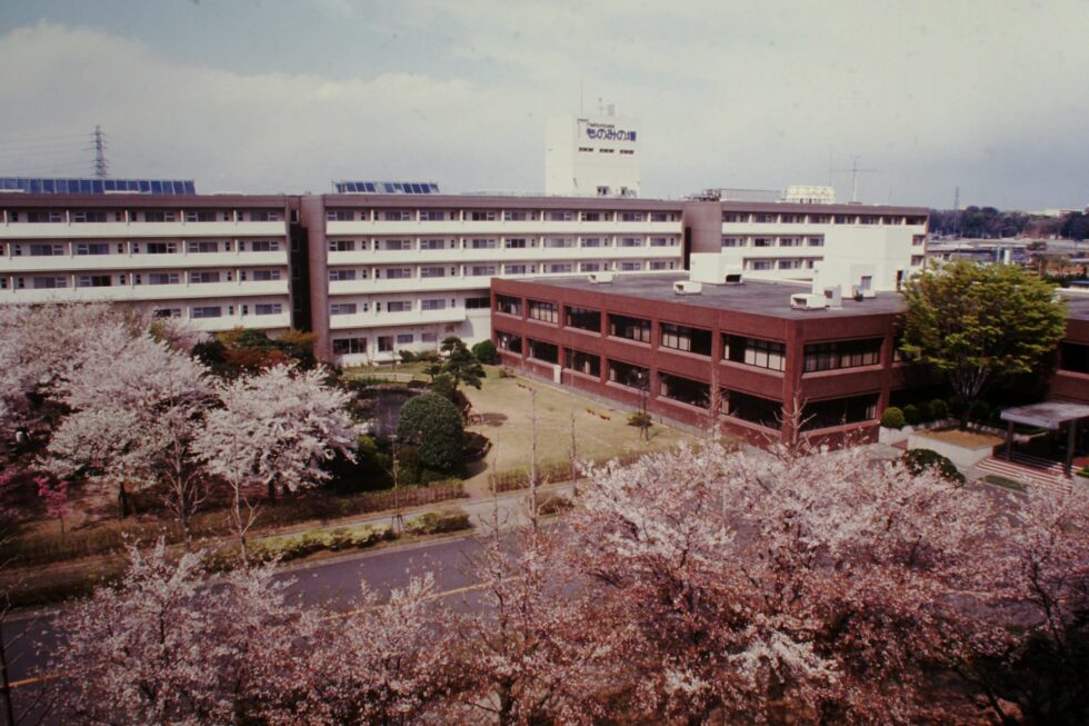 Jehovah’s Witnesses in Japan - Jehovah's Witnesses in Japan